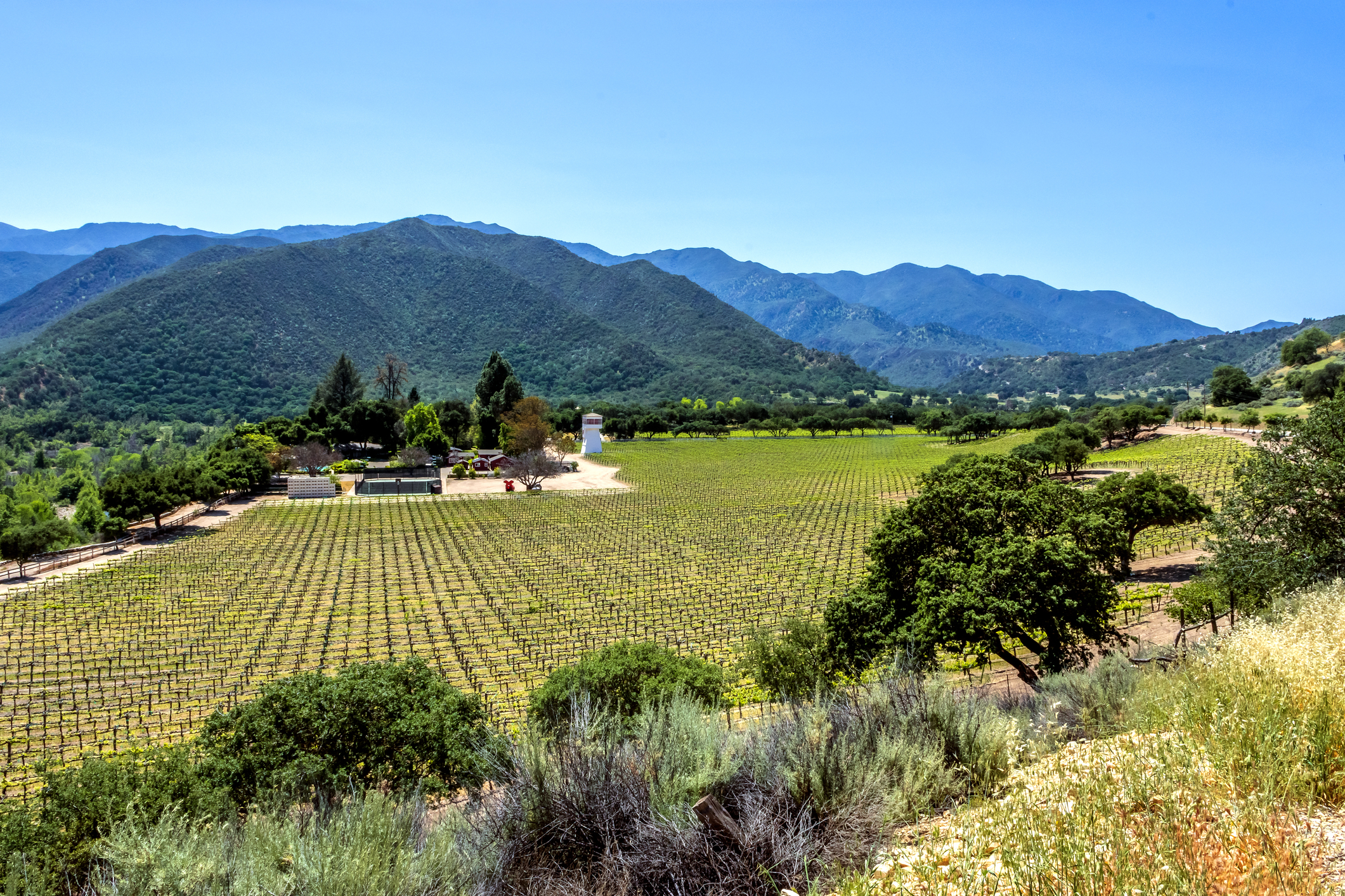 Where to Go Wine-Tasting in the Carmel Valley | Moon Travel Guides