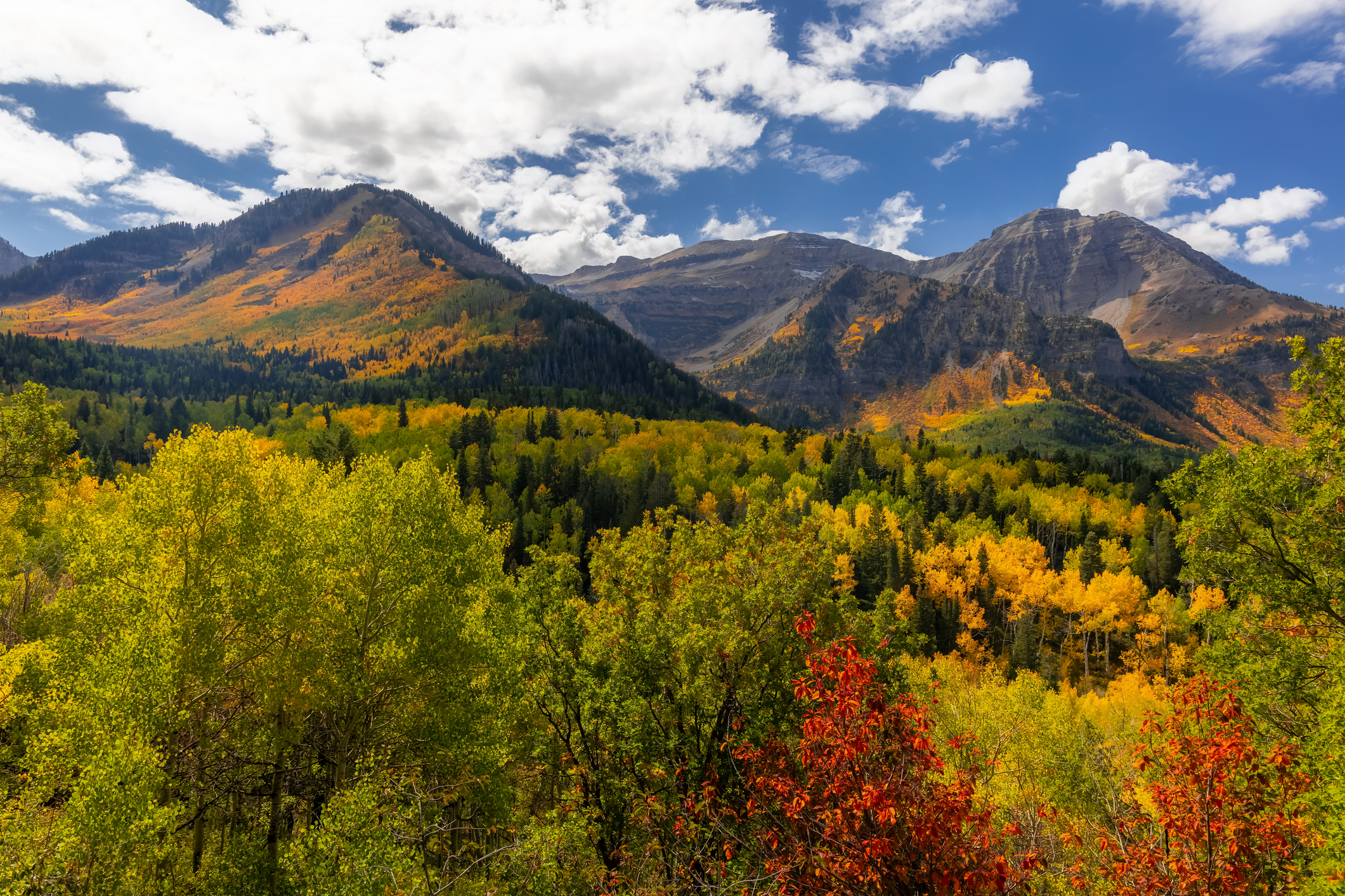 Where to See Fall Foliage in Utah | Moon Travel Guides