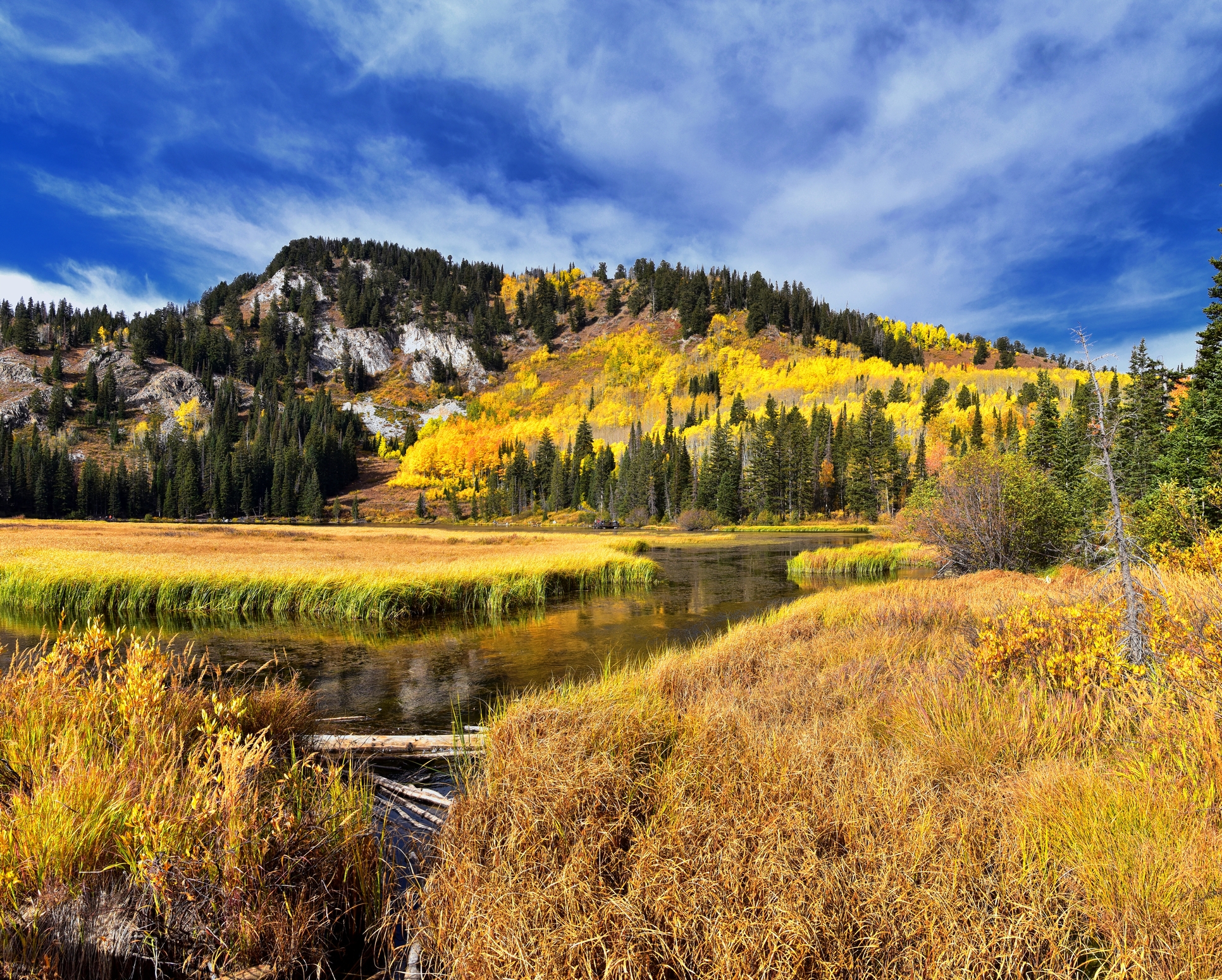 Where to See Fall Foliage in Utah | Moon Travel Guides