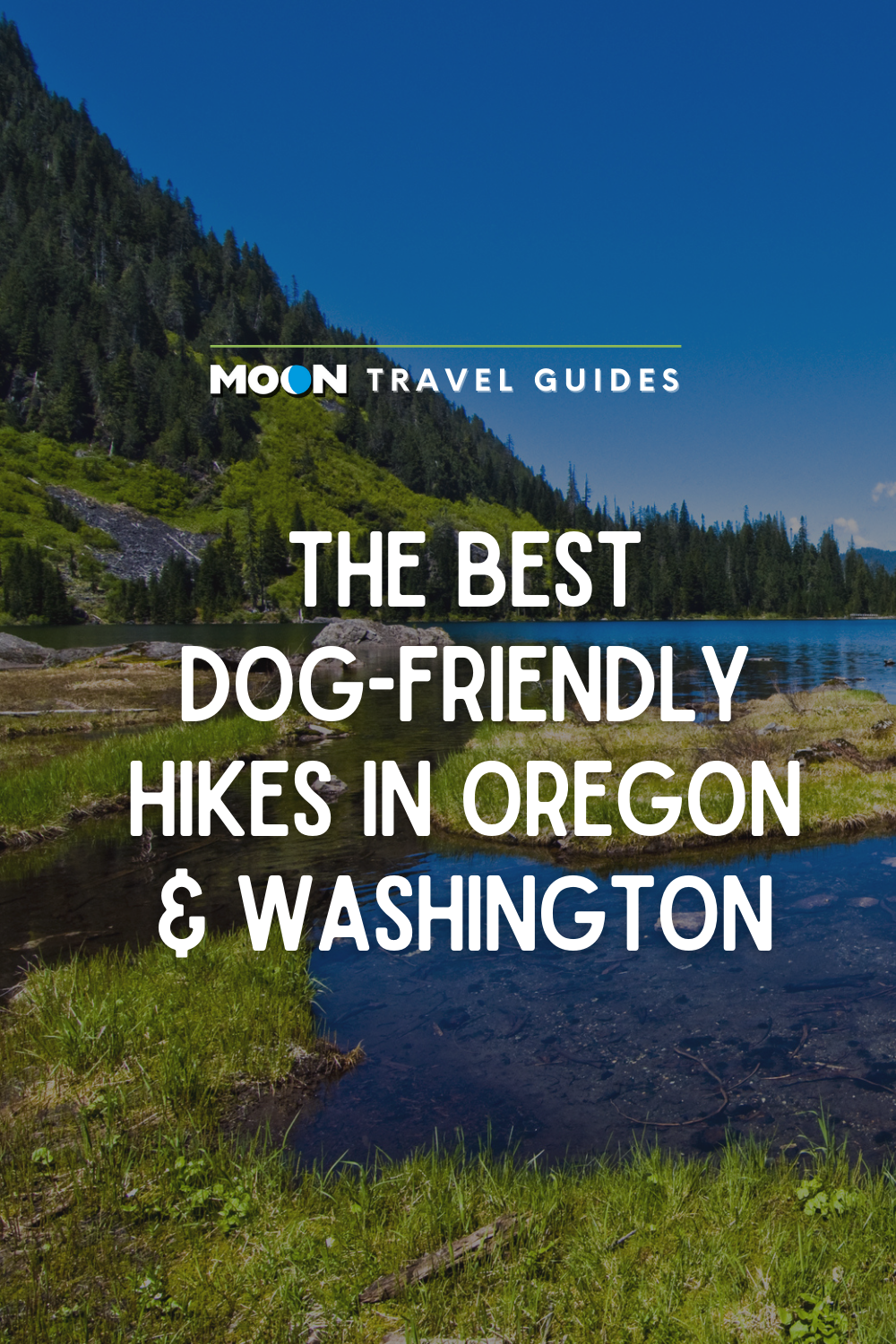The Best Dog-Friendly Hikes in Oregon and Washington | Moon Travel Guides